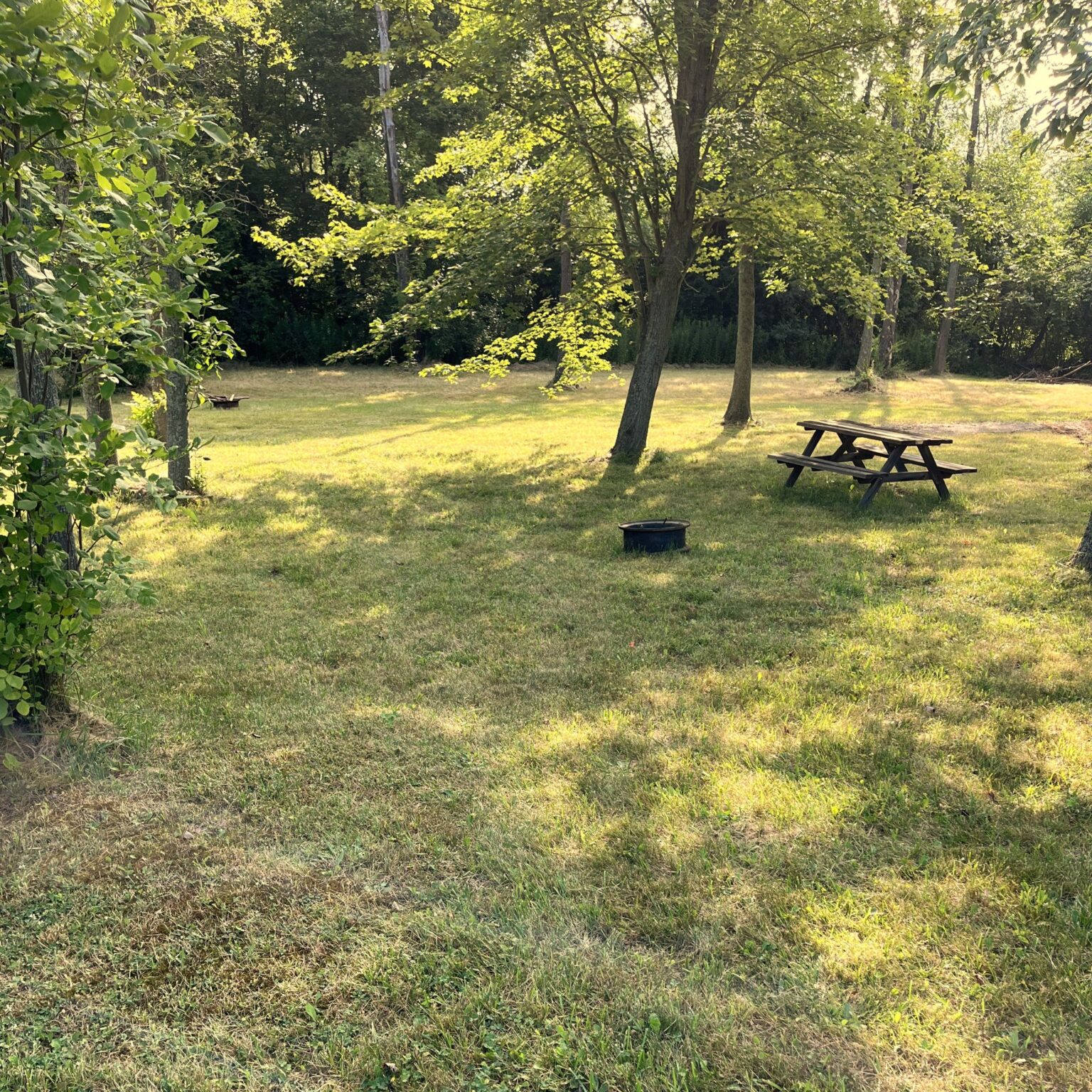 Coleman's Campground